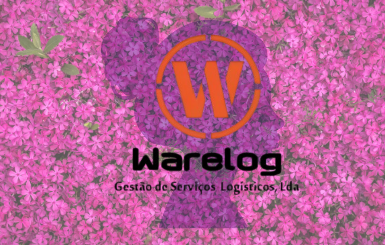 Homepage - Warelog